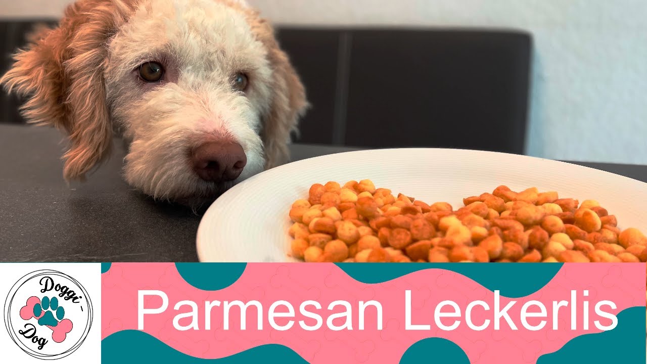 Parmesan Leckerlis - Doggi-Dog