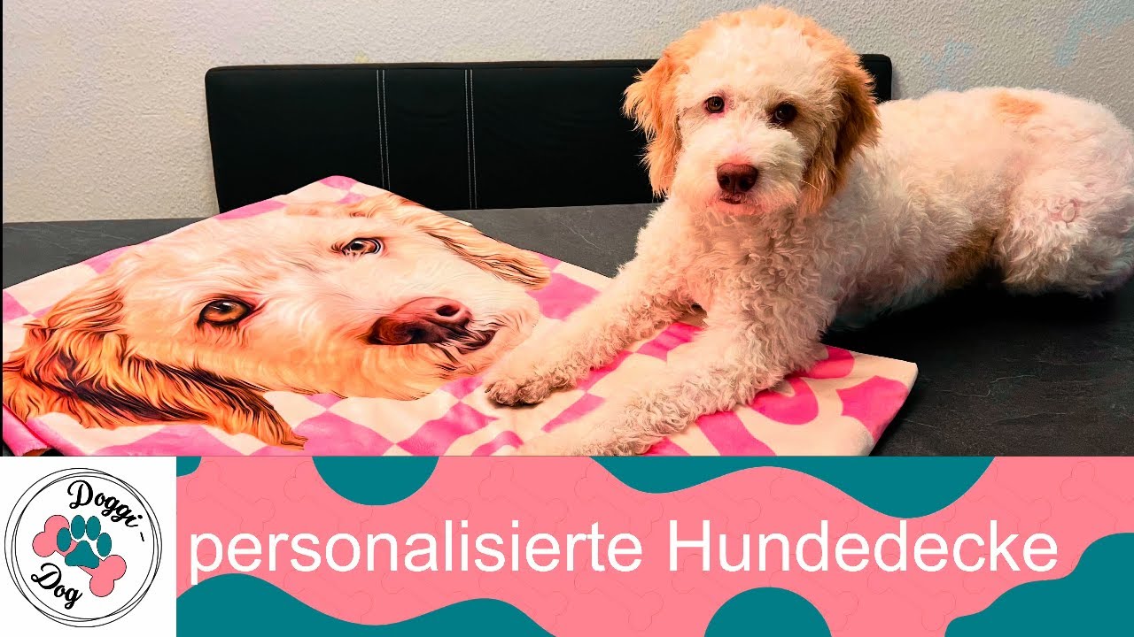 Haustierdecke - Doggi-Dog